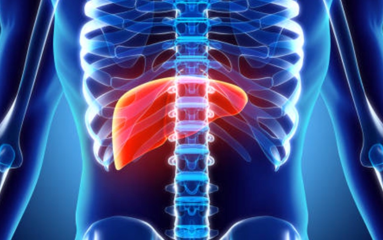 IHME Hepatitis Facts